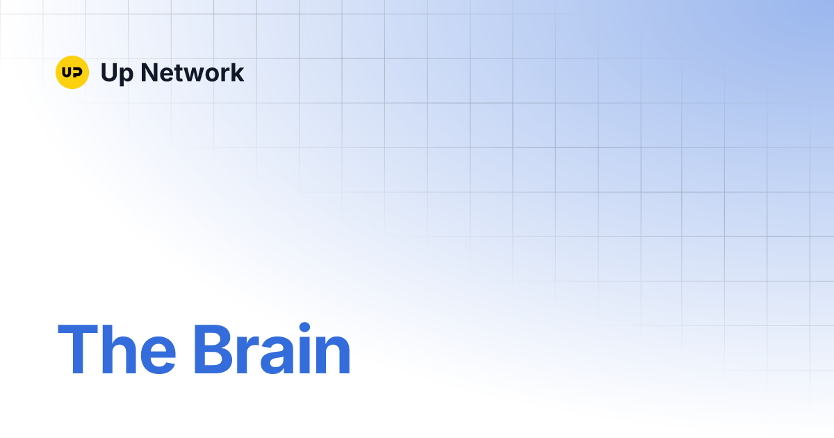 The Brain | Up Network